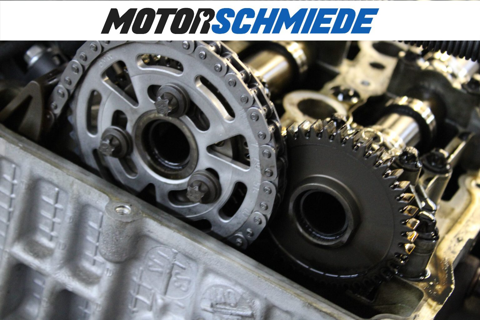 BMW Steuerketten Tauschen 116d 118d 120d 318d 320d 520d X3 N47 D20 ...